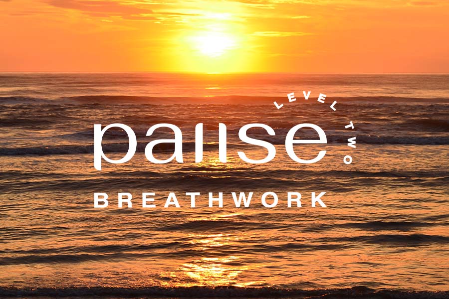 Pause Breathwork Level 2 Training: Become an Advanced Energetic ...